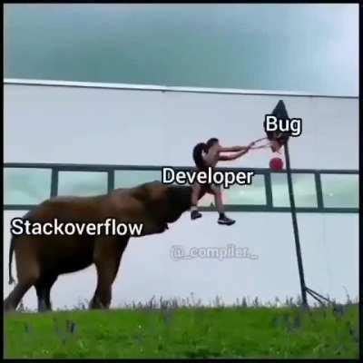 Stackoverflow Be Like Let Me Help You Dude Progr