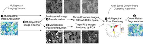 overview of our proposed automatic color pattern recognition method for download scientific