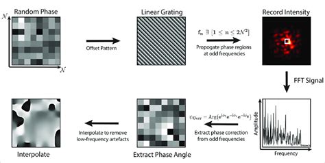 phase retrieval we start by dividing the slm into n × n equal regions download scientific
