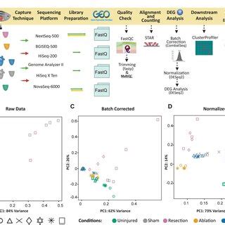 Transcriptomic Meta Analysis Of The Cardiac Regenerative Response Upon