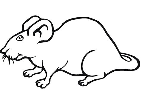 Printable Rat Coloring Pages Coloring Cool