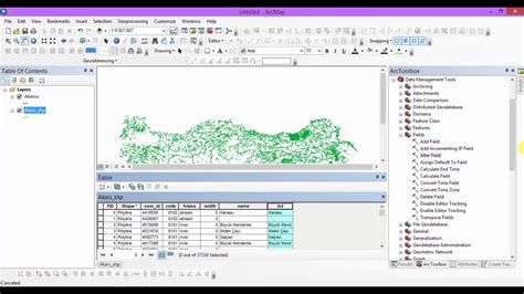 Arcgis Field Ad De I Tirmek Rename Field In Attribute Table Arcgis
