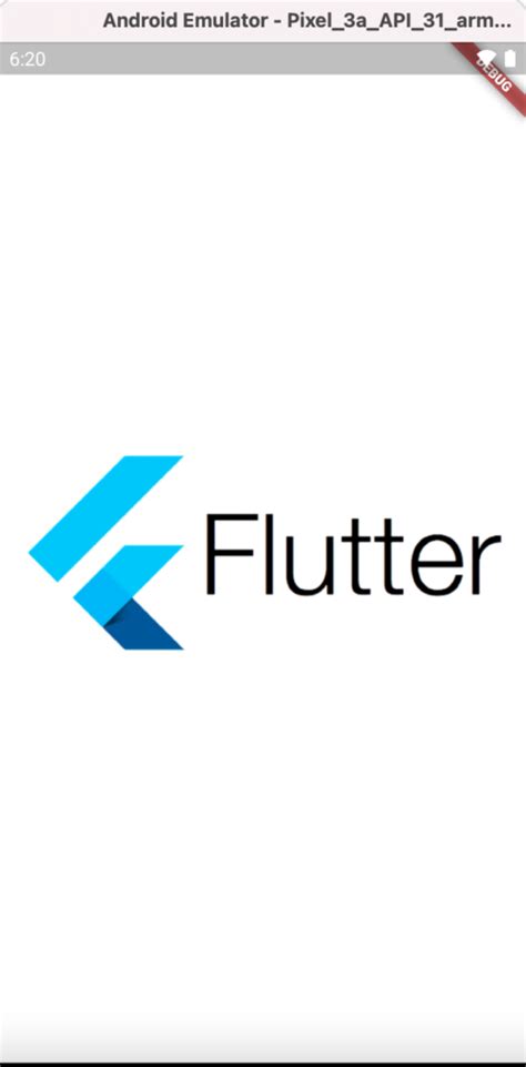 How To Show Local Asset Image In Flutter Application